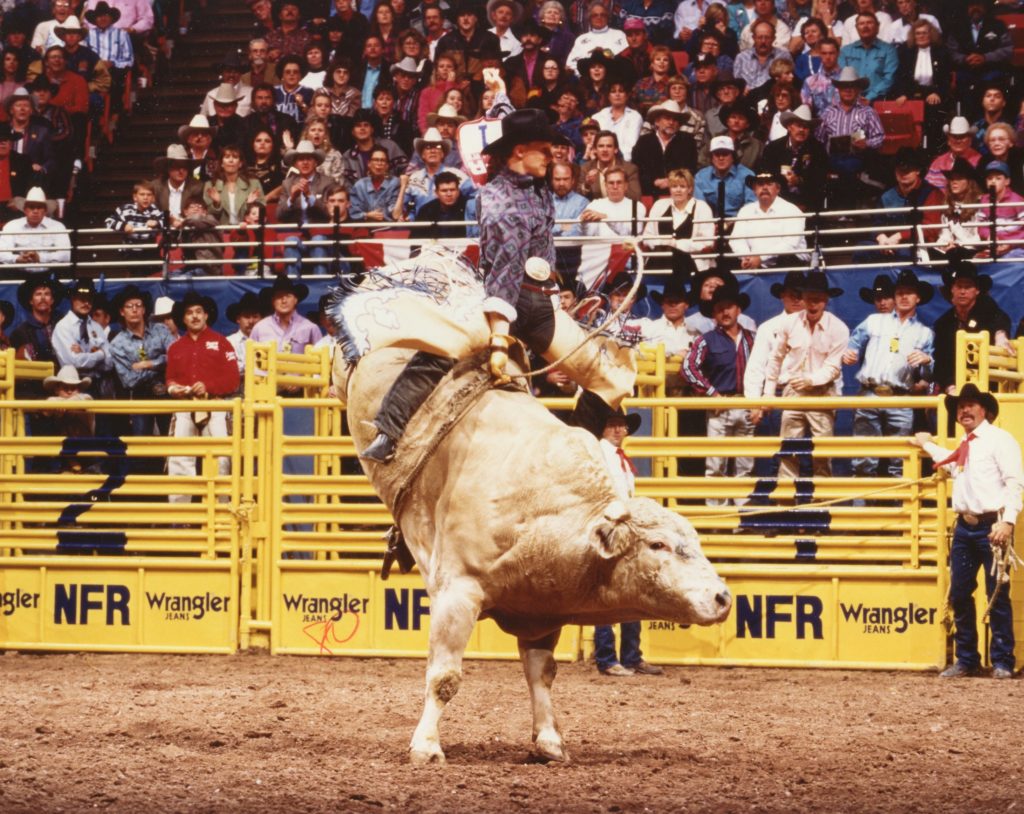 THE BEST AND THAT’S NO BULL: Bodacious receives Brand of Honor Award ...