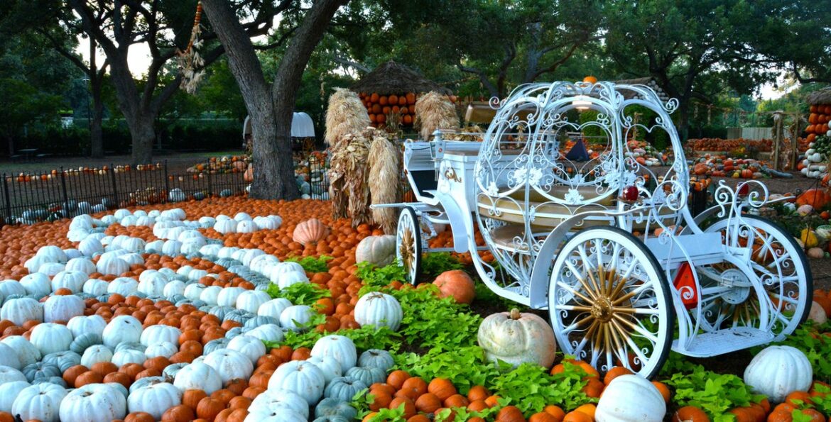Autumn returns to North Texas with Dallas’ Arboretum - MyParisTexas