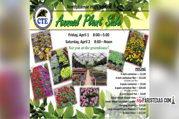 Milky Way Plate Tectonics || Using candy to teach geological events ...