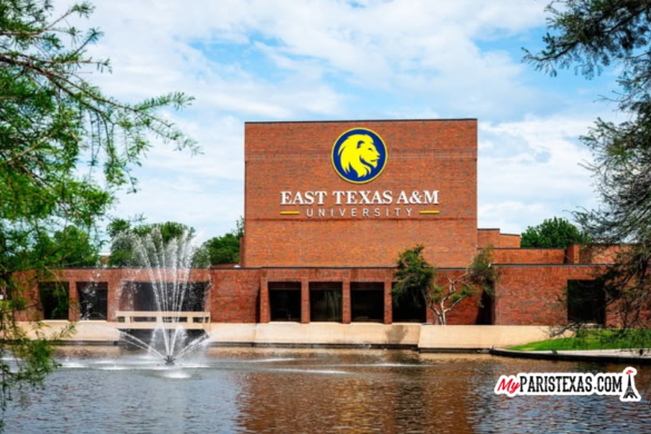 Milky Way Plate Tectonics || Using candy to teach geological events ...