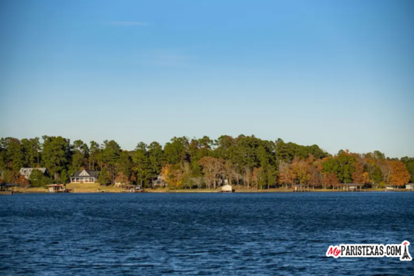 Texas releases STARR test results for 2024 - MyParisTexas