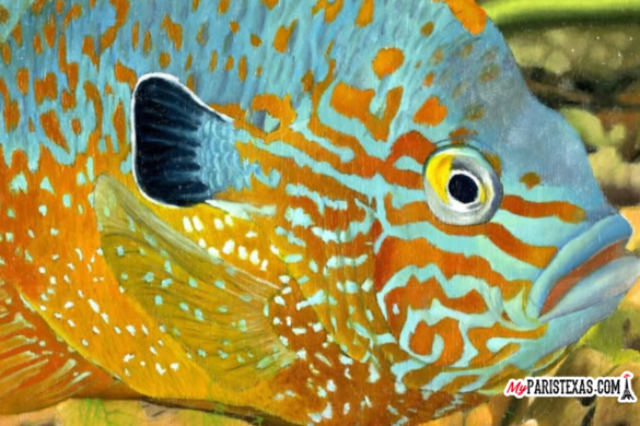 PJC Dragon Promise offers eligible students free tuition and fees ...