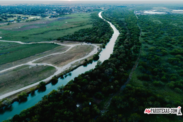 Mattel unveils first-ever autistic Barbie - MyParisTexas